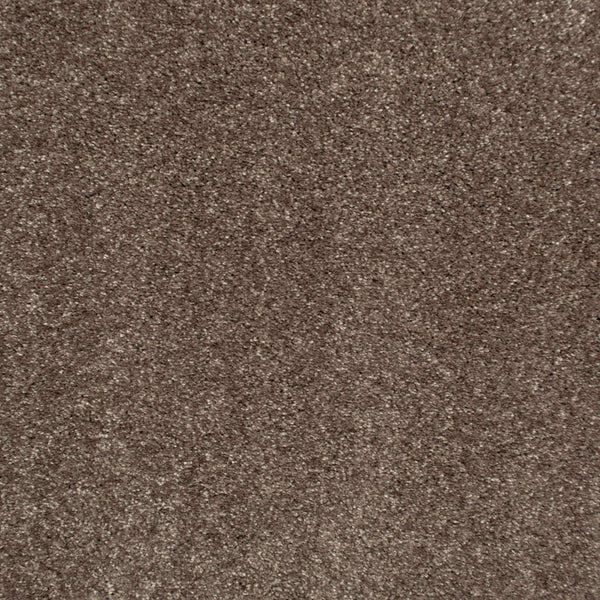 Brown Carpet | Light, Dark & Chocolate Brown Carpets | Online Carpets