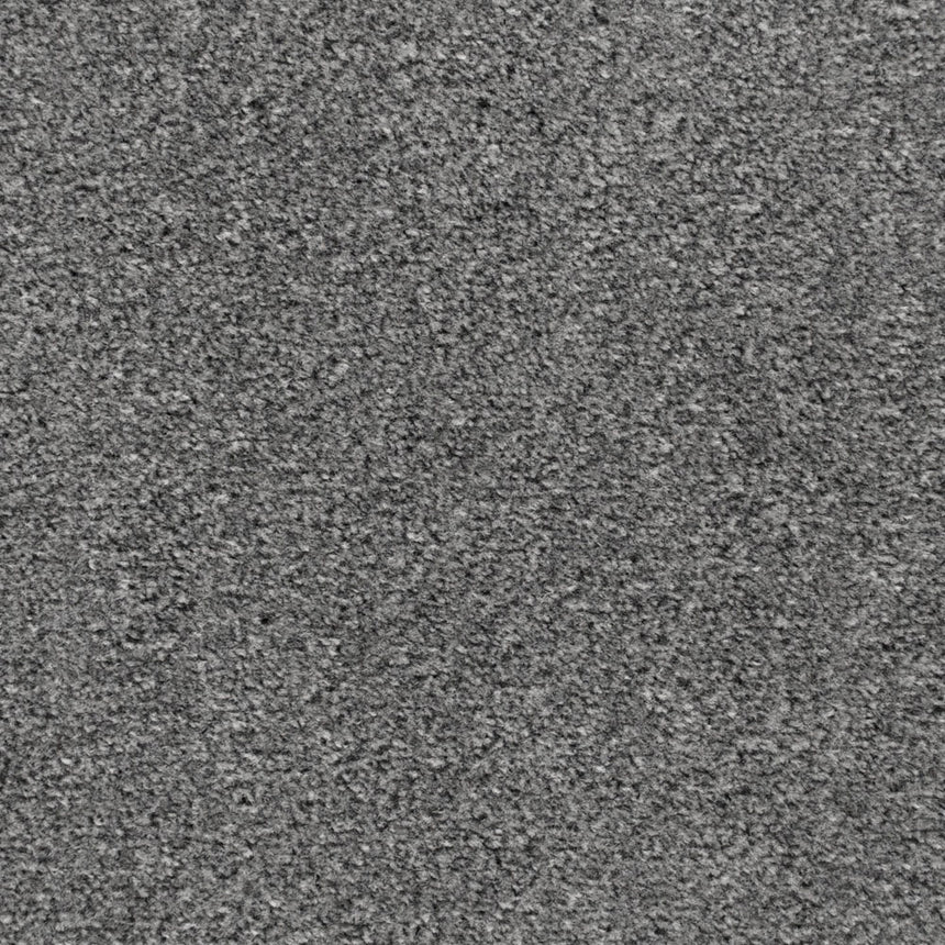 Iron 166 Easy Living Carpet | Buy Easy Living Carpets Online ...