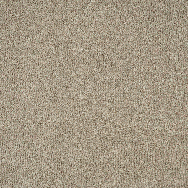 Indiana Saxony Carpet | Buy Indiana Saxony Carpet Online ...