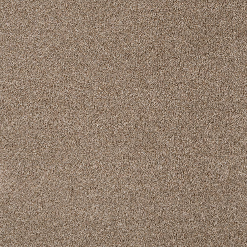 Light Brown 194 Revolution Carpet | Buy Revolution Carpets Online ...