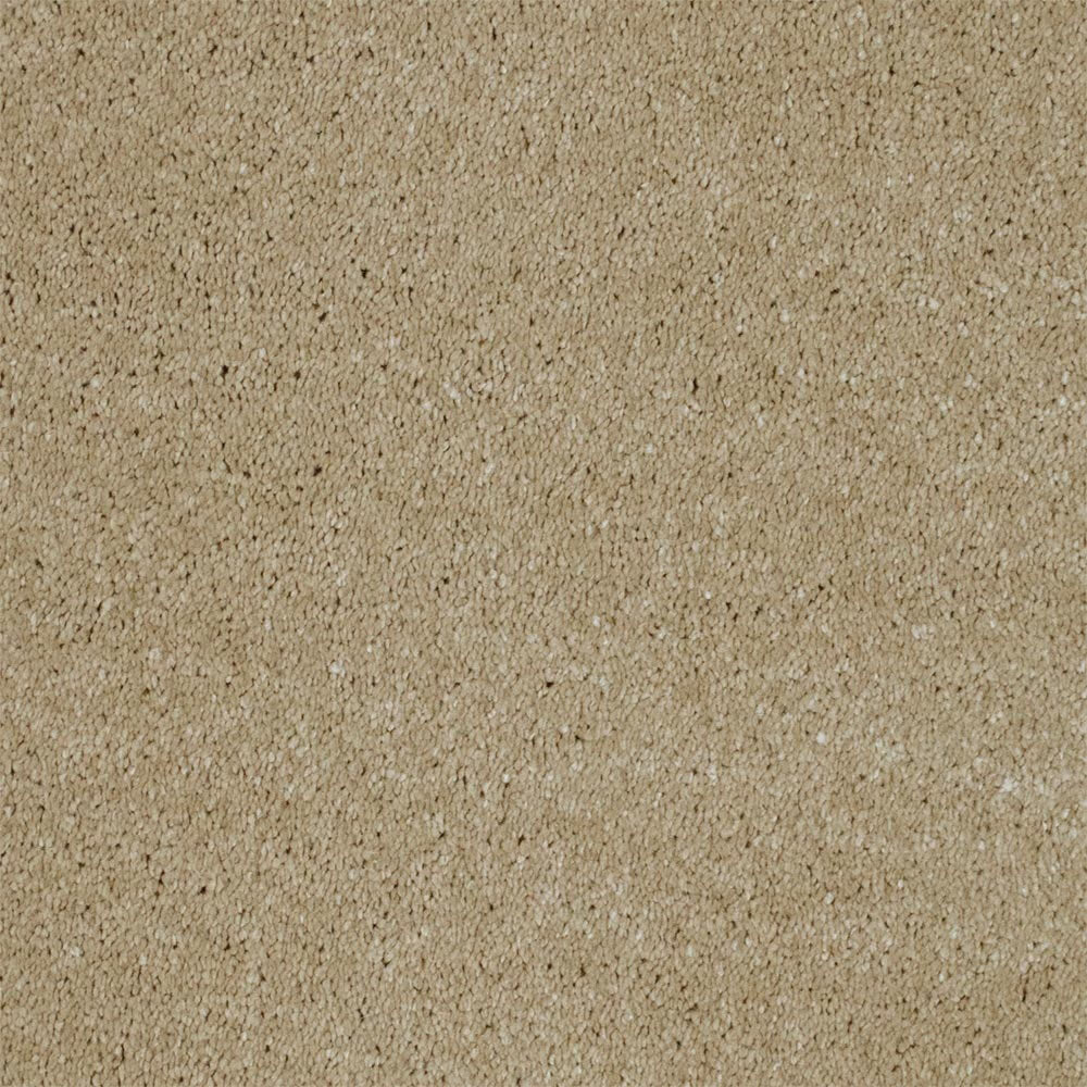 Magnificus Invictus Supreme Carpet by Associated Weavers ...