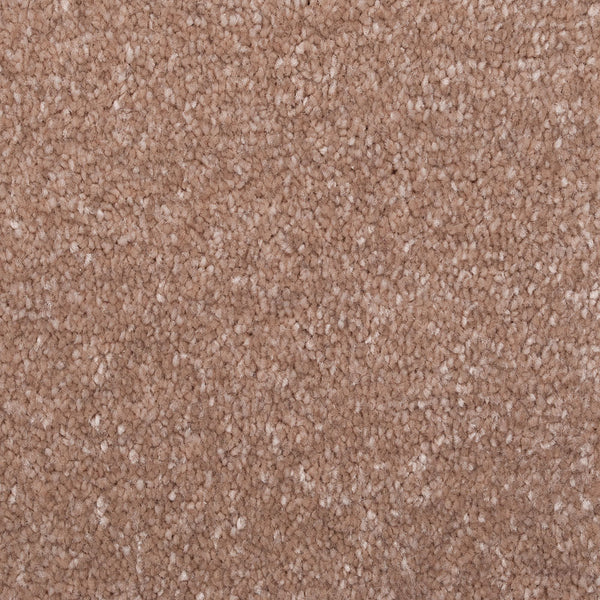 Mellow Mocha 34 Promenade Carpet | Buy Promenade Carpet Online ...