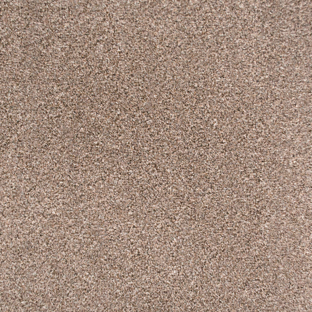 Mink 314 Easy Living Carpet | Buy Easy Living Carpets Online ...