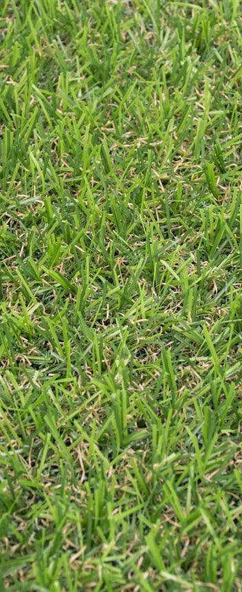 Mossbank 17mm Artificial Grass | Synthetic Turf | Online Carpets