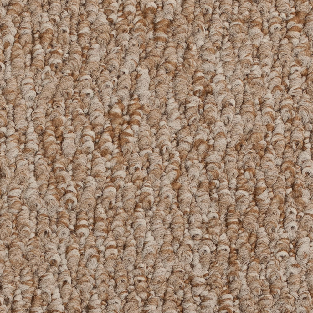Beige New York Carpet | Buy Beige New York Carpet Online ...