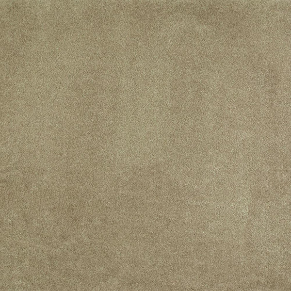 iSense Obsession Carpet | Buy Associated Weavers Carpets Online ...