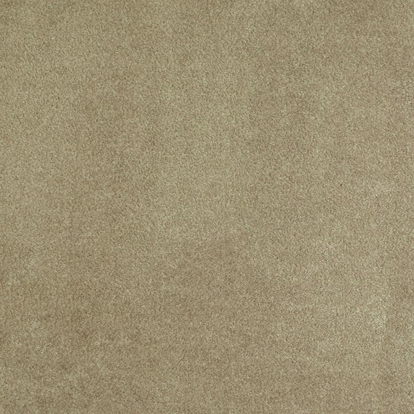 Camel 36 iSense Obsession Carpet | Buy Associated Weavers Carpets ...