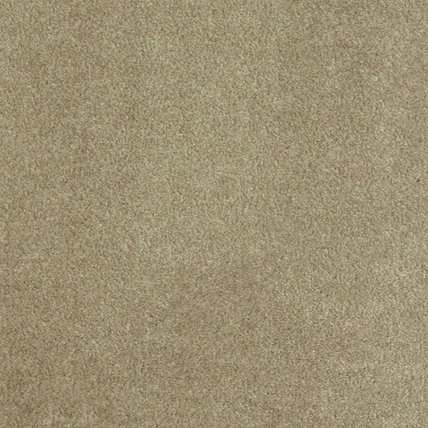 Camel 36 iSense Obsession Carpet | Buy Associated Weavers Carpets ...