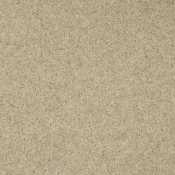 Papyrus Woodland Heather 55oz Twist Deluxe Carpet | Online Carpets