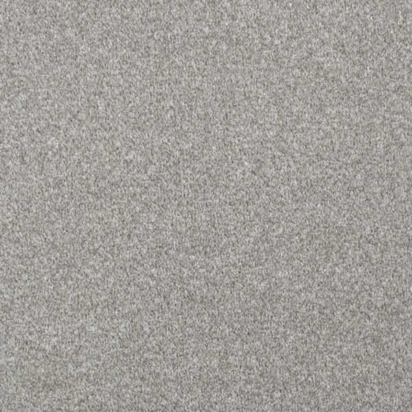 Apollo Plus Carpet | Buy Apollo Plus Carpets Online | Online Carpets