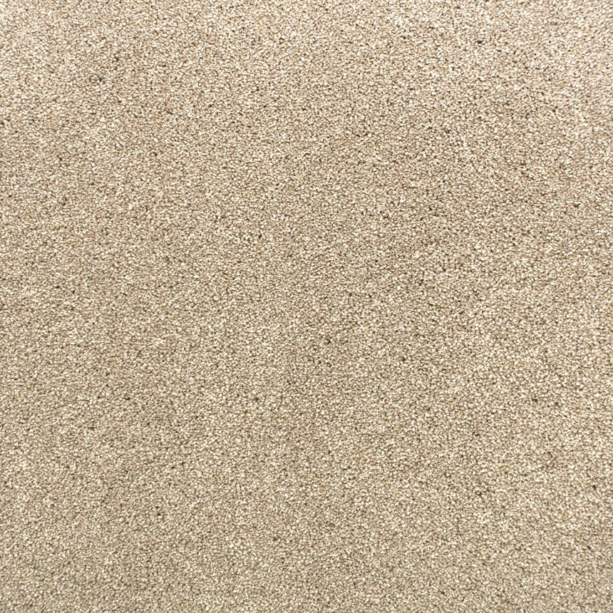 Sandstone 73 Premium Carpet | Buy Premium Carpets Online ...