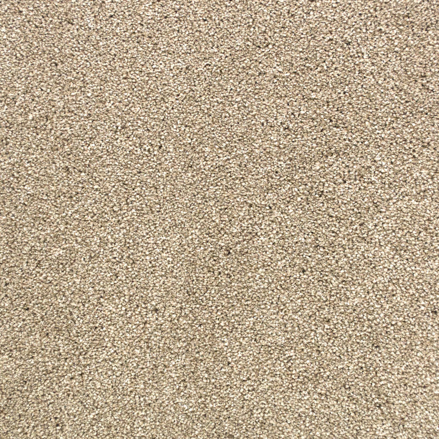 Sandstone 73 Premium Carpet | Buy Premium Carpets Online ...