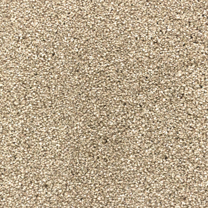 Sandstone 73 Premium Carpet | Buy Premium Carpets Online ...