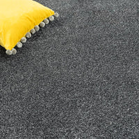 Cinder Grey Apollo Plus Carpet | Buy Apollo Plus Carpets Online ...