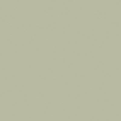 Green Vinyl Flooring | Green Lino | Online Carpets