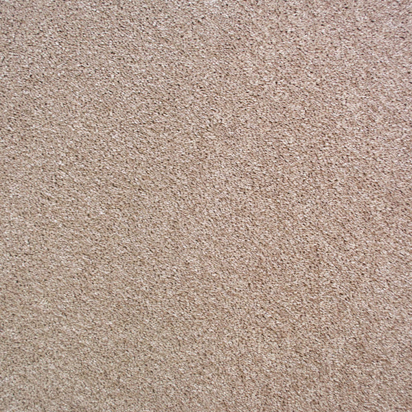 Prada 39 Scorpius Invictus Carpet | Buy Invictus Carpets Online ...