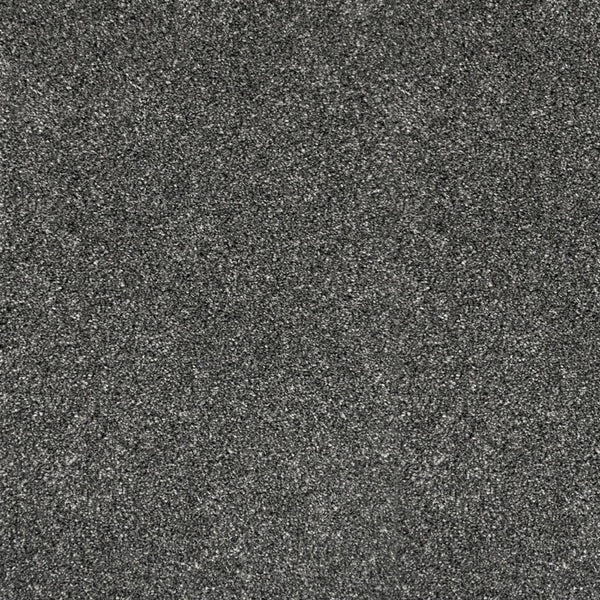 Pegasus 70oz Heathers Invictus Carpet | Buy Invictus Carpets Online ...