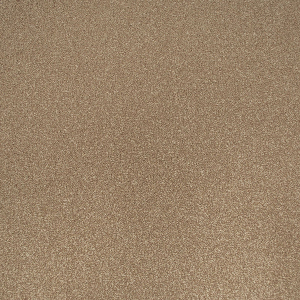 Apollo Plus Carpet | Buy Apollo Plus Carpets Online | Online Carpets