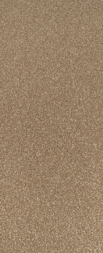 Stepping Stone Apollo Plus Carpet | Buy Apollo Plus Carpets Online ...