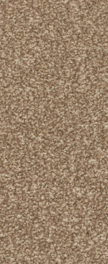 Stepping Stone Apollo Plus Carpet | Buy Apollo Plus Carpets Online ...