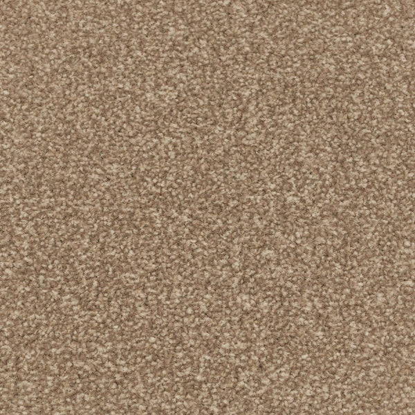 Stepping Stone Apollo Plus Carpet | Buy Apollo Plus Carpets Online ...