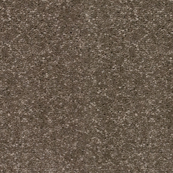 Taupe Grey 870 Timeless & Stripes Carpet | Buy Cheap Saxony Carpets ...