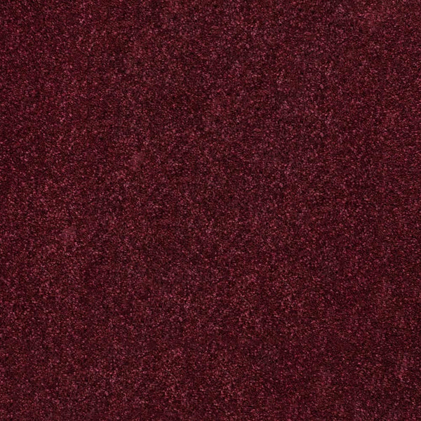 Mulberry Temptation Carpet | Buy Associated Weavers Carpet ...