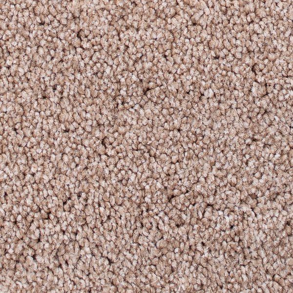 Grand National Carpet | Buy Grand National Carpets Online | Online ...