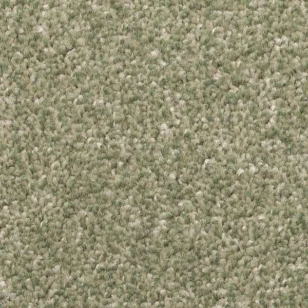 Monte Carlo Carpet | Buy Thick Deep Pile Carpets Online | OnlineCarpets ...