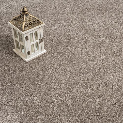 Buy Beige Carpets Online | Neutral Carpets | Online Carpets