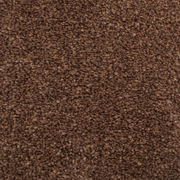 Stainfree Emperor Carpet | Buy Abingdon Carpets | OnlineCarpets.co.uk