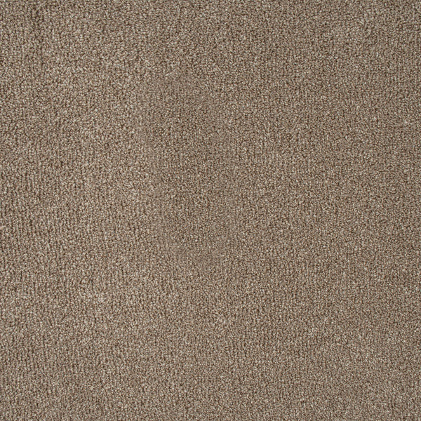 Indiana Saxony Carpet | Buy Indiana Saxony Carpet Online ...