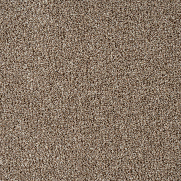 Warm Beige Indiana Saxony Carpet | Buy Indiana Saxony Carpet Online ...